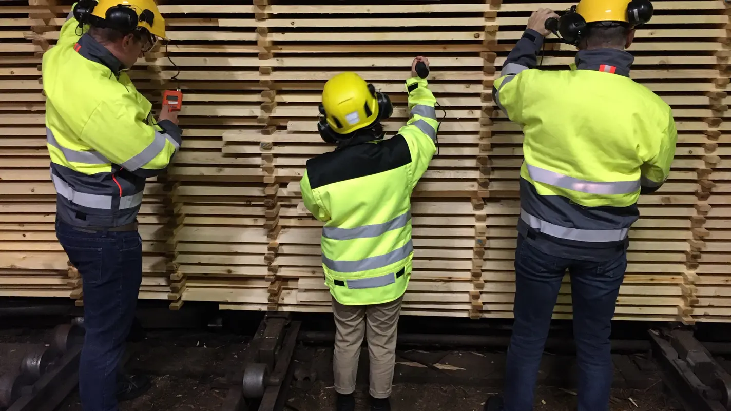 UPM training initiative is a cut above the rest | UPM Timber
