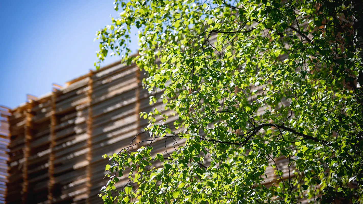 環境に配慮した選択：化石燃料を使わないUPMの製材品 | UPM Timber