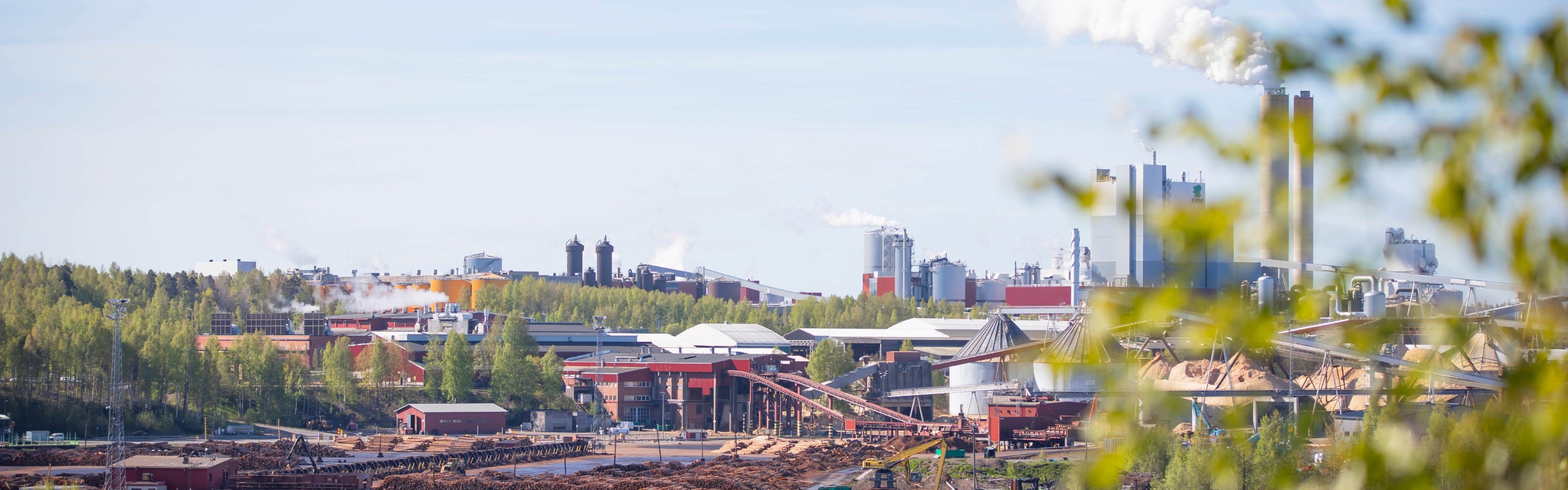 UPM Kaukaan saha | Suuri mäntysahatavaran tuottaja | UPM Timber